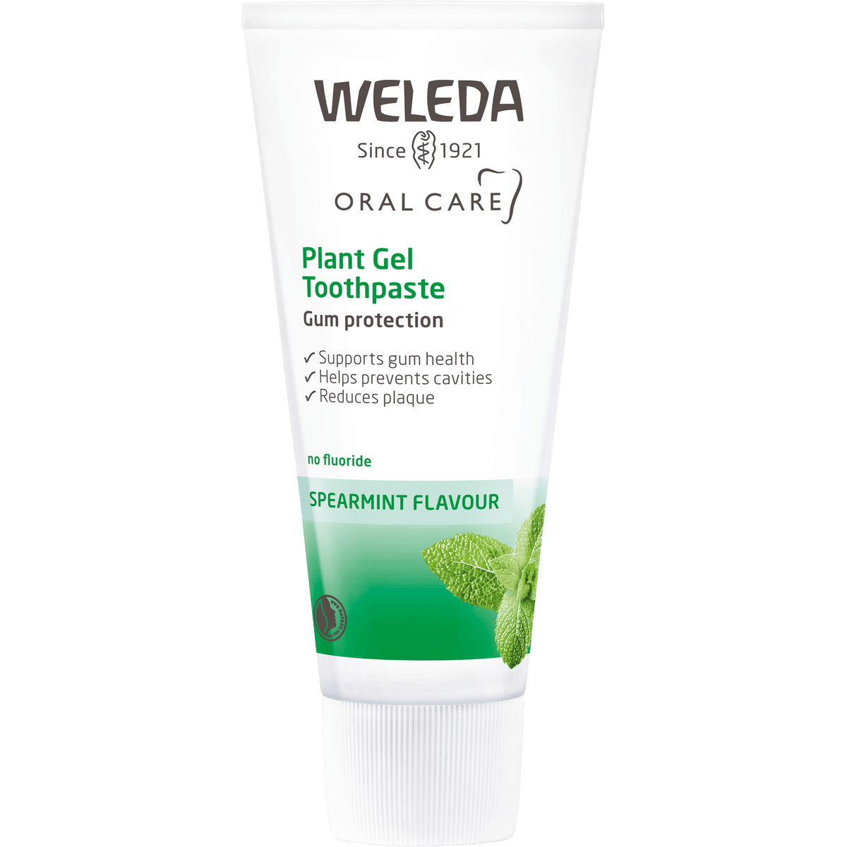 Plant Gel Toothpaste – mypure.co.uk